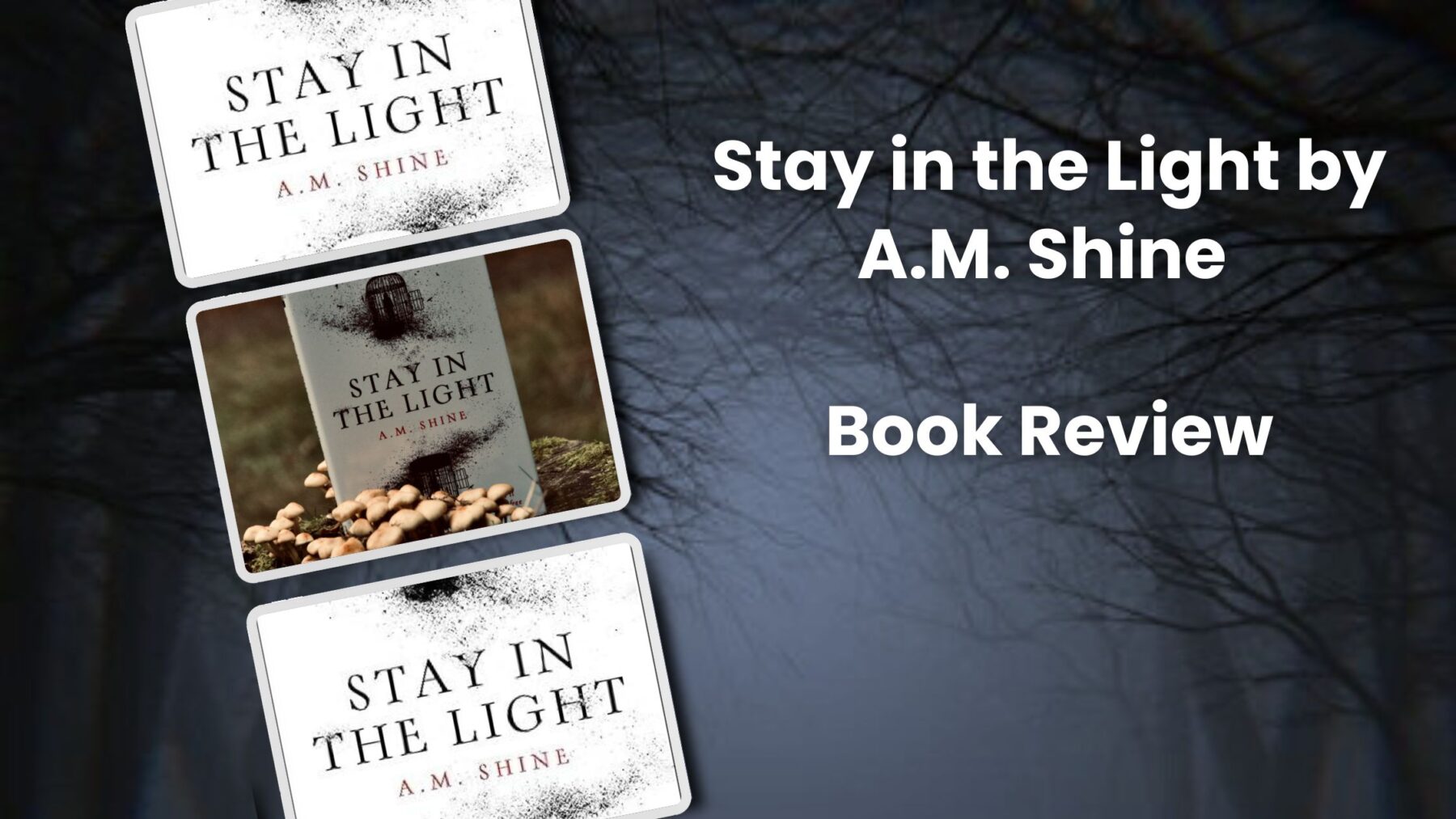 Stay In The Light By A.M. Shine - Book Review - The Ginger Nuts Of ...