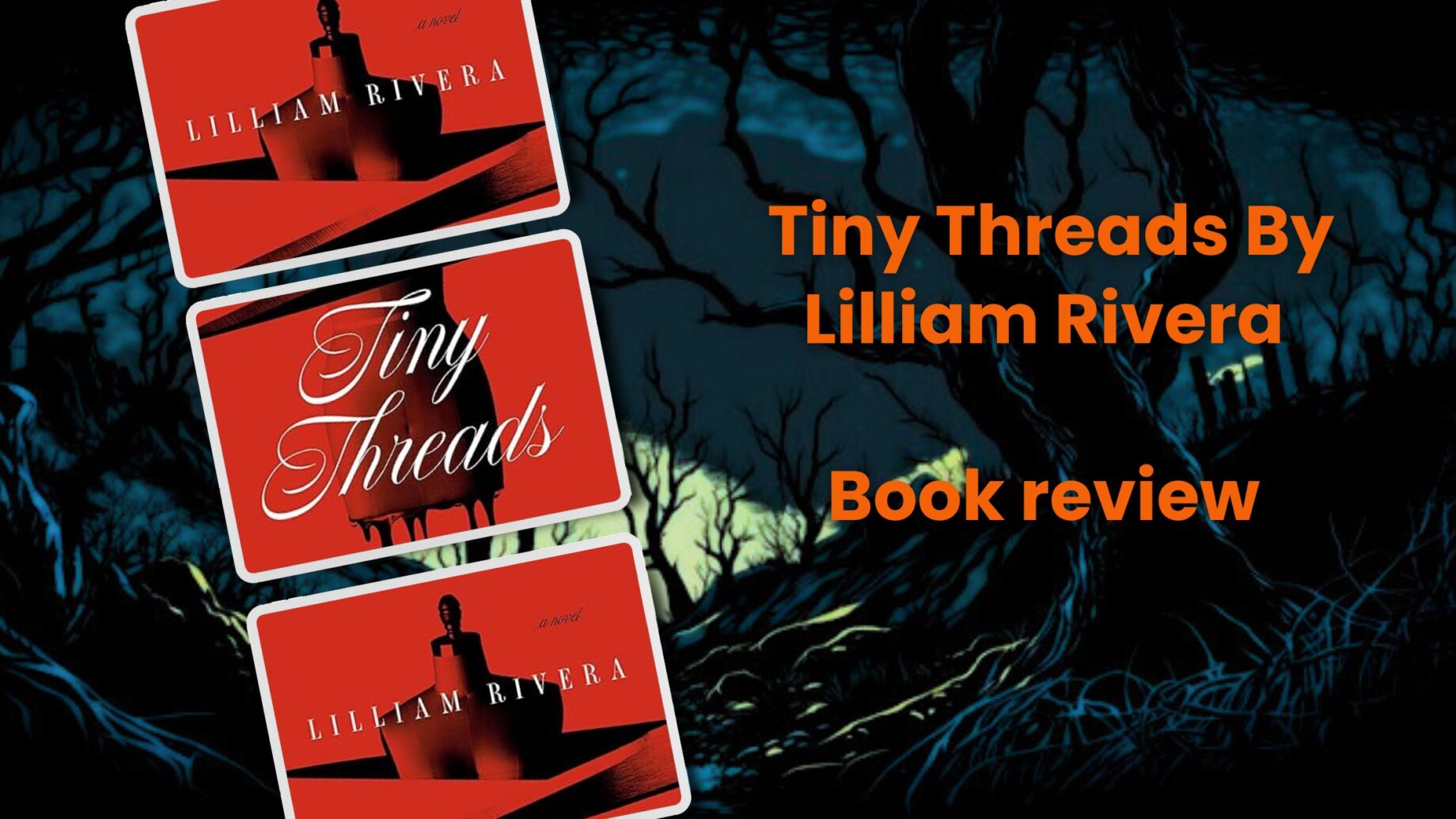 Tiny Threads By Lilliam Rivera - Book Review - The Ginger Nuts Of ...