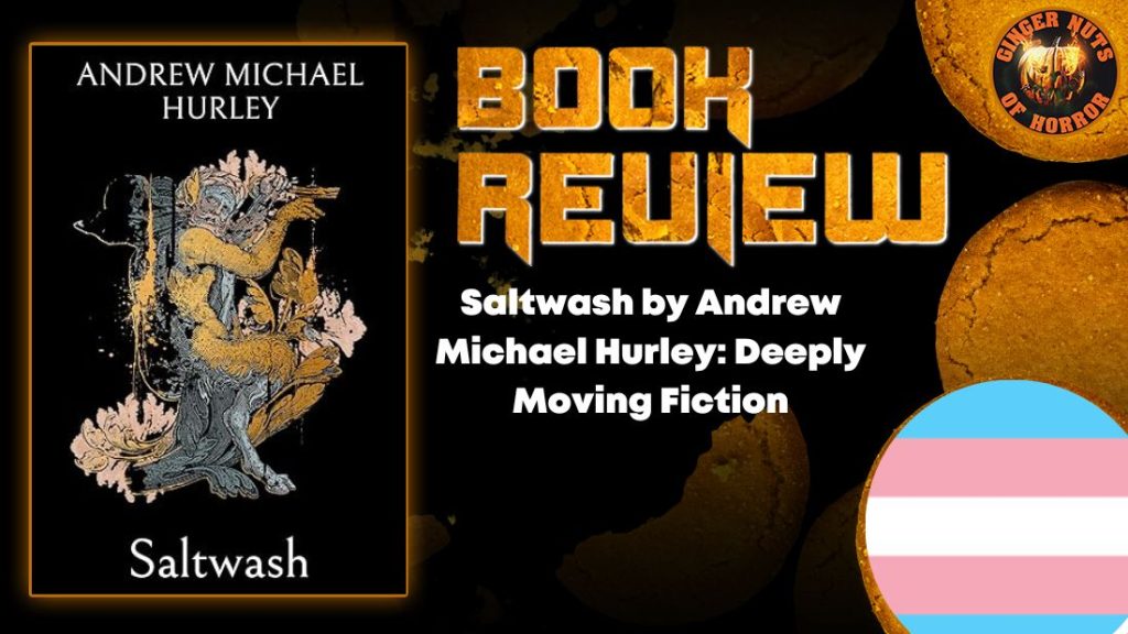 Saltwash By Andrew Michael Hurley: Deeply Moving Fiction - The Ginger ...
