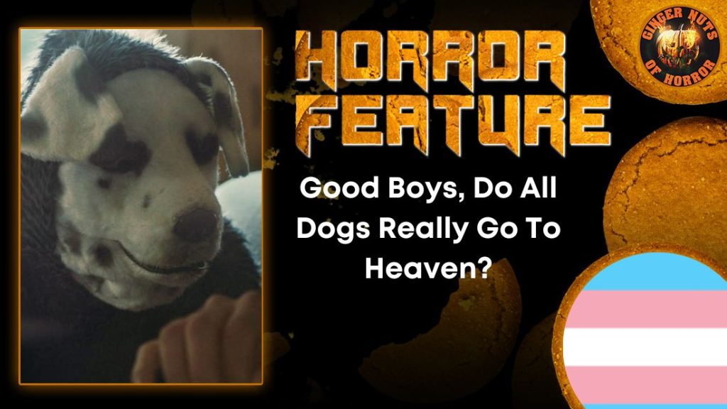 Good Boys, Do All Dogs Really Go To Heaven? - The Ginger Nuts Of Horror ...